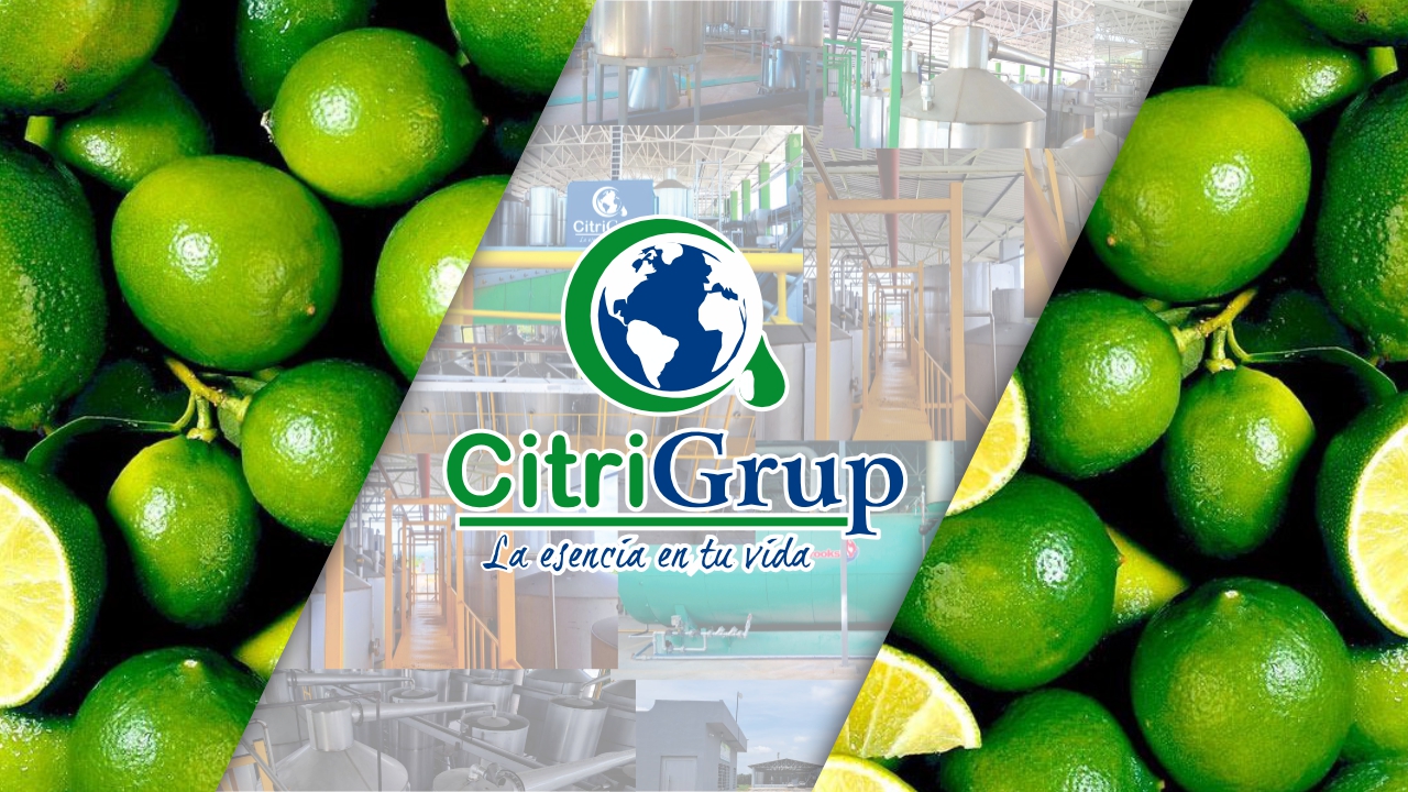 CitriGrup | Welcome!